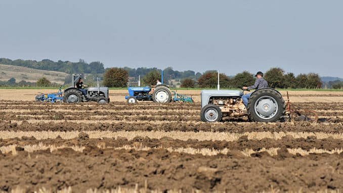Romney Marsh Ploughing Match - Tuckwells